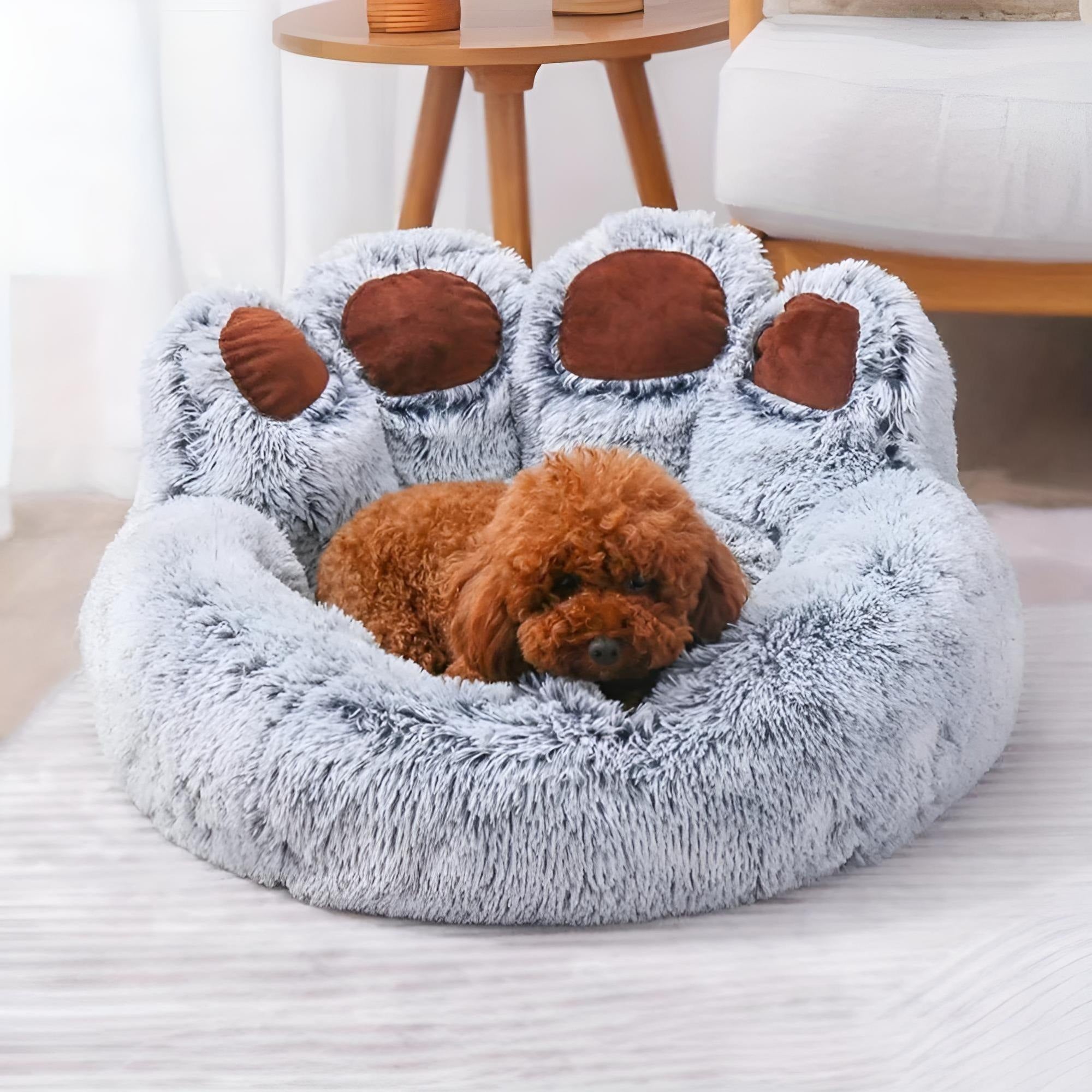 Round vs Donut Dog Beds for Small Dogs | Comfort Guide
