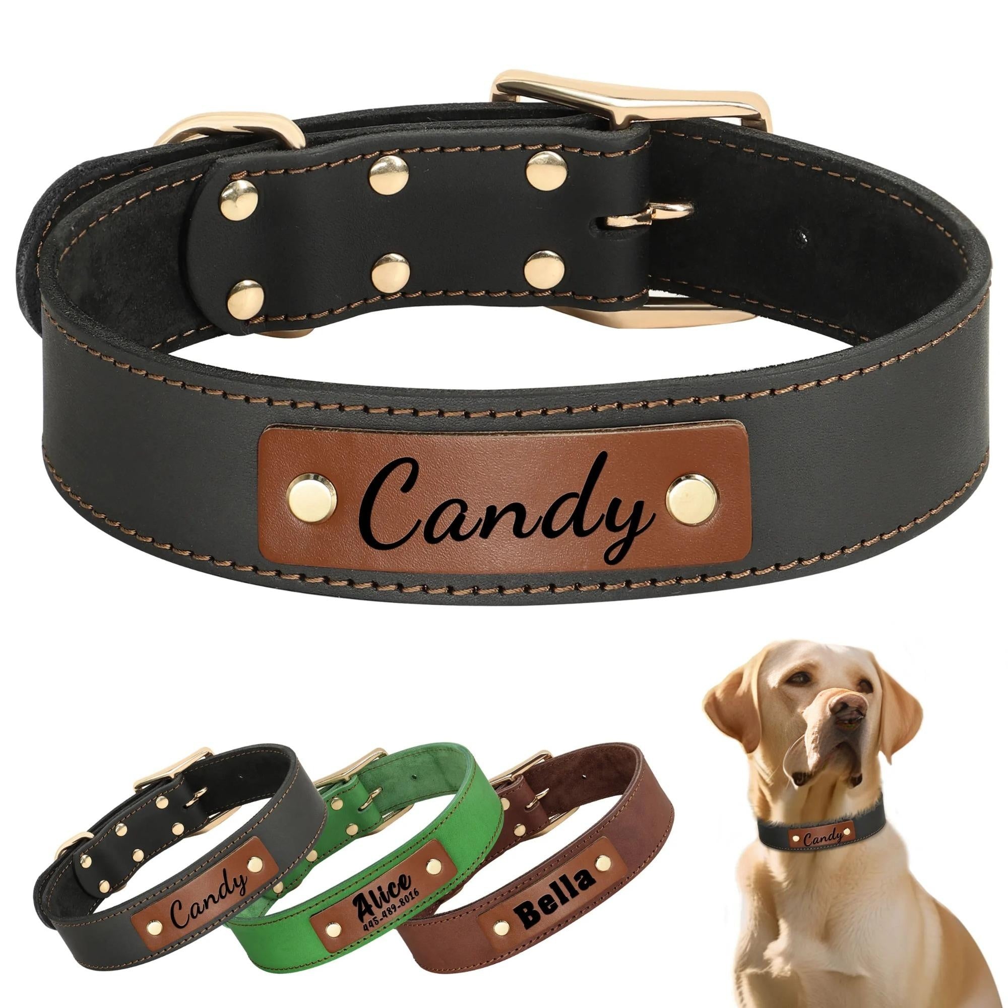 Road Trip Dog Collar Safety Tips | Personalized ID for Summer Travel