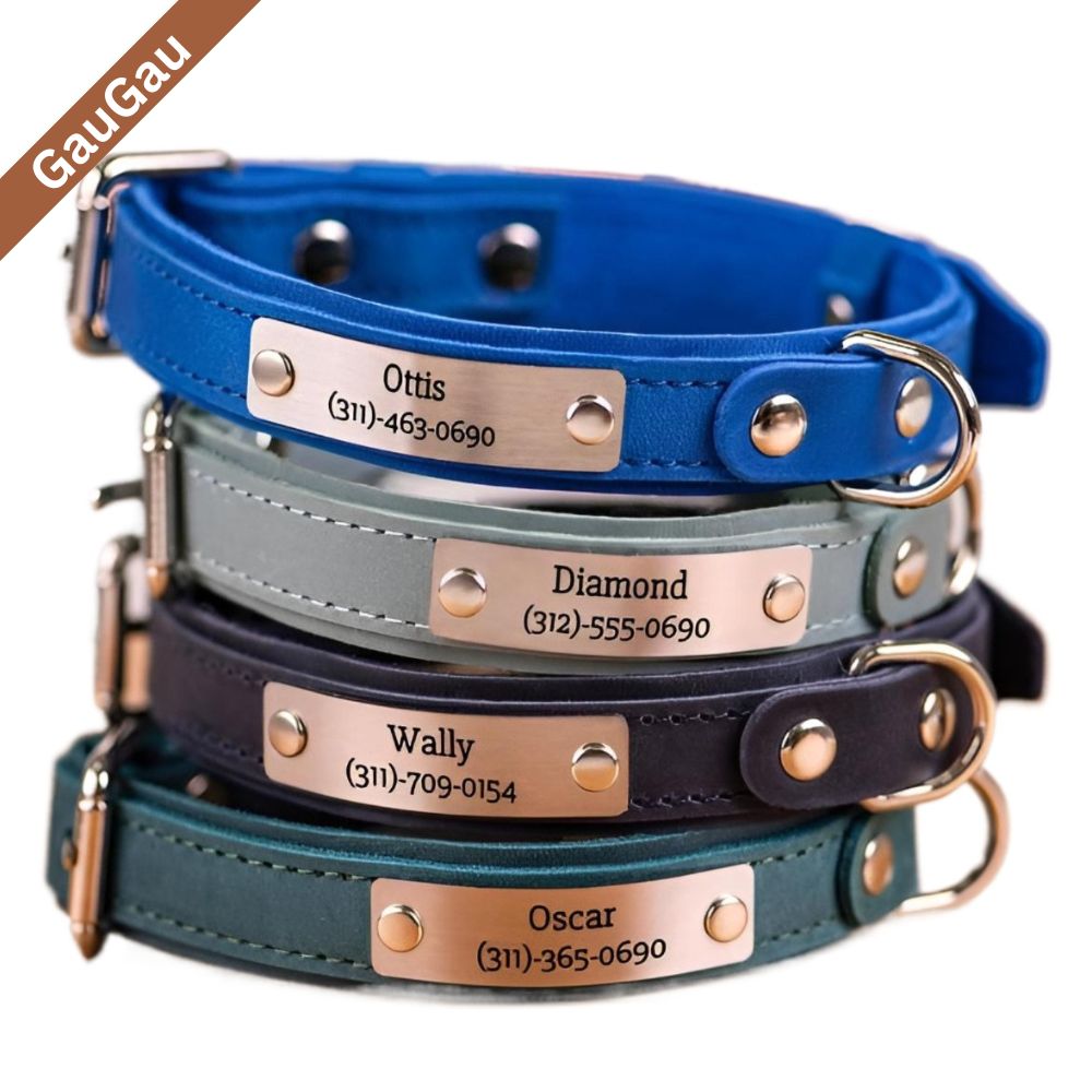 Personalized Dog Collars - GauGau