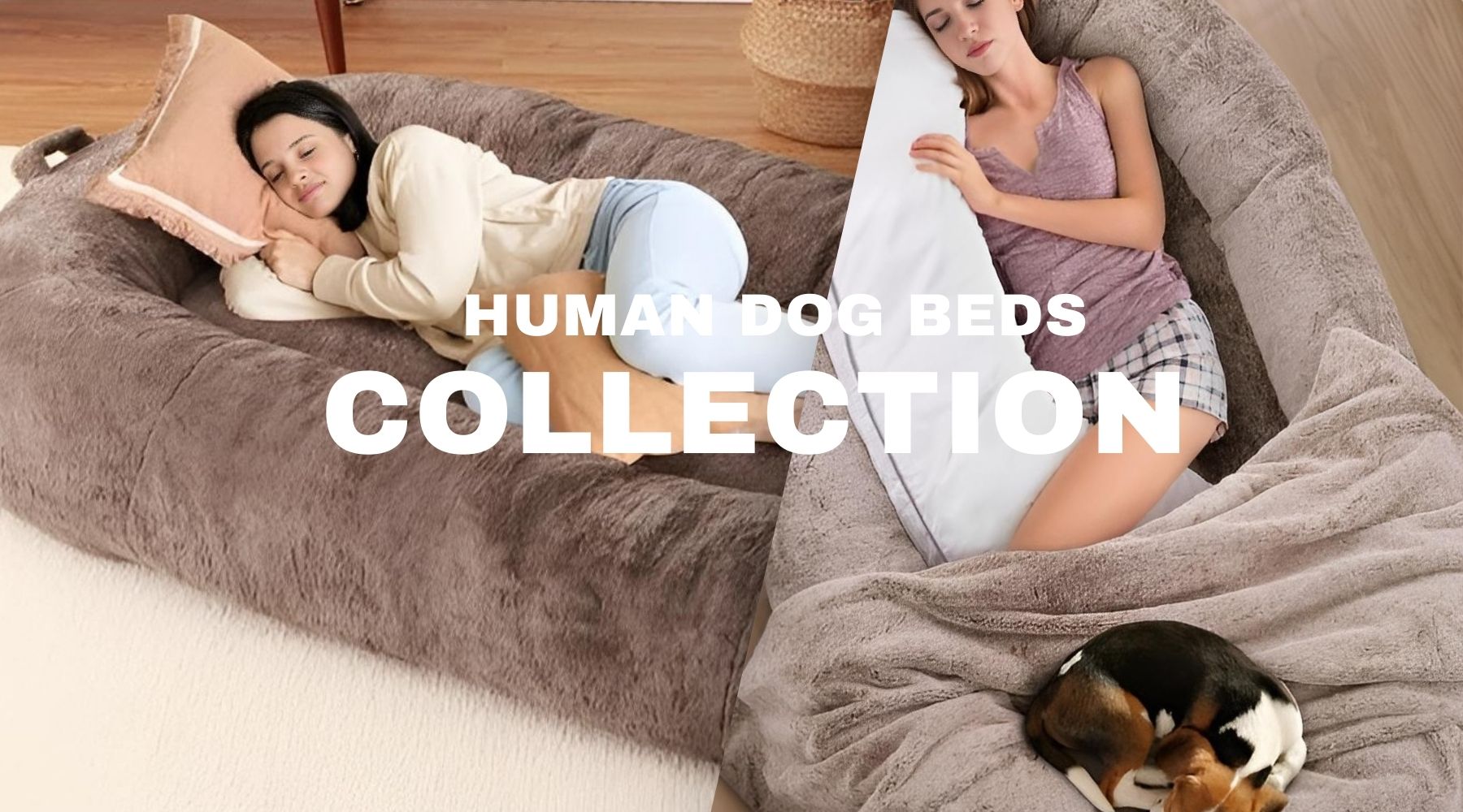 Human Sized Dog Bed | Best Dog Beds for Humans | GauGau